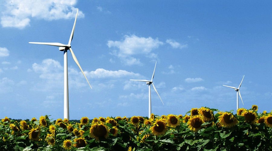 Clean energy from Bullfrog Power - Ecohome