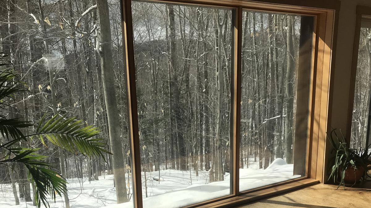 Low-E Windows & Glass, Pros vs Cons & Cost - Ecohome