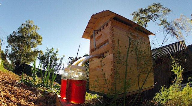 Flow Frames: Honey on Tap. Easier on the bees, easier on the beekeeper ...