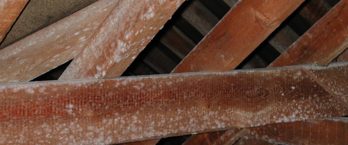 What is Interstitial Condensation? (And how to stop it!) - Ecohome