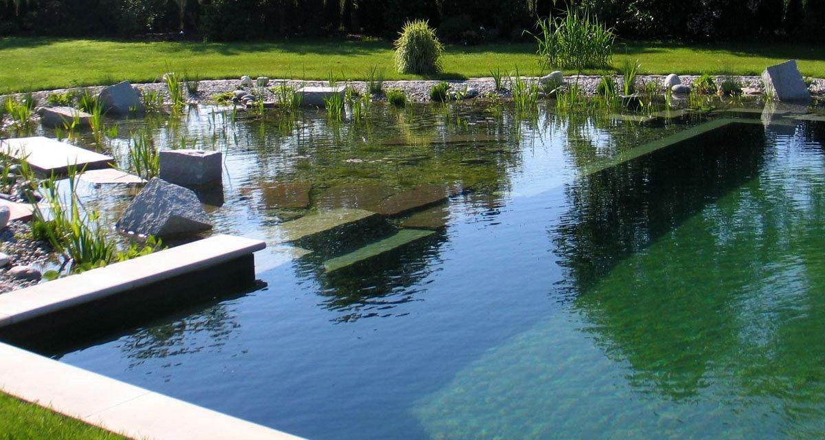 Natural Swimming Pools - DIY or Pro Building Tips - Ecohome