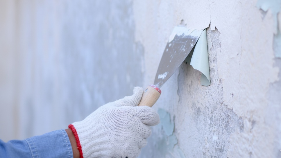 Lead Paint: How to Safely Identify, Encapsulate, and Abate for a ...