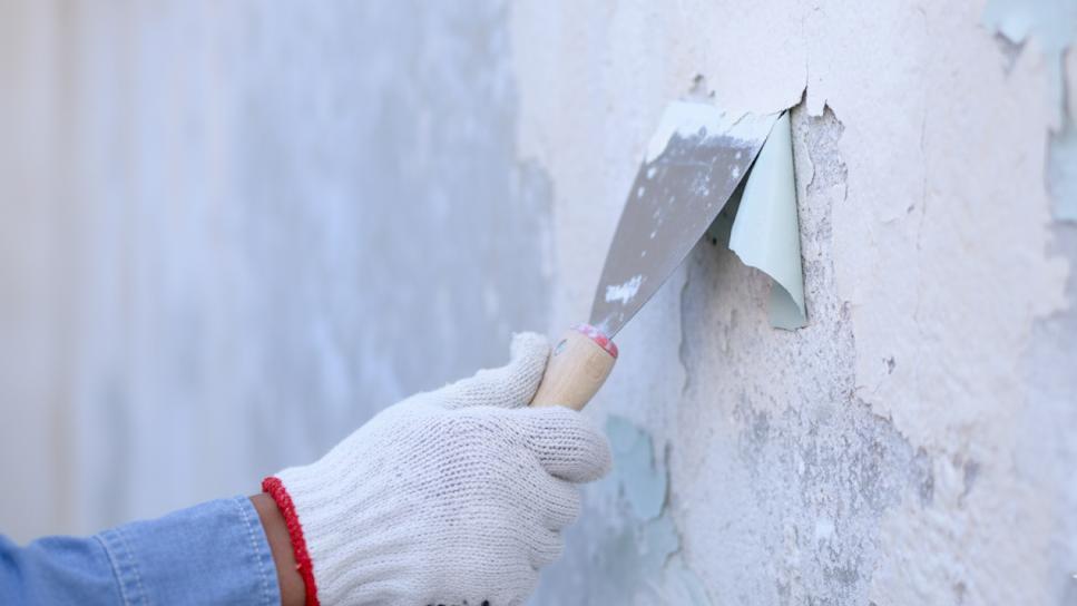 Lead Paint: How to Safely Identify, Encapsulate, and Abate for a ...