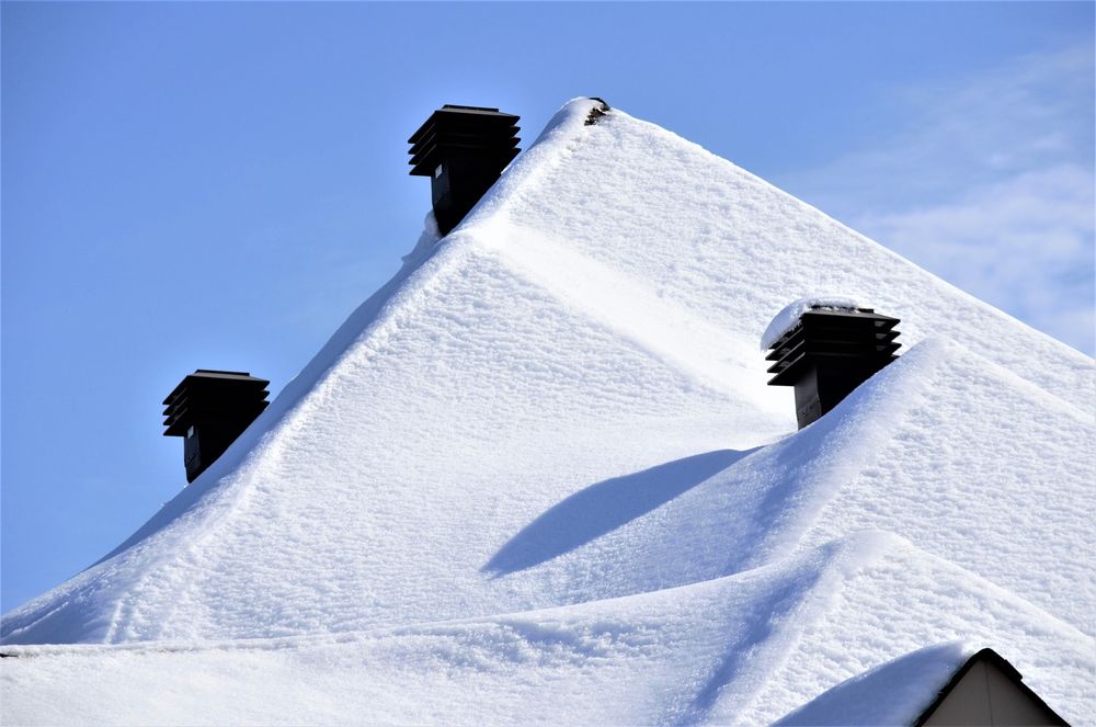 Vents & Attic Ventilation Roof Exhaust Vent by Ventilation Maximum - Ecohome