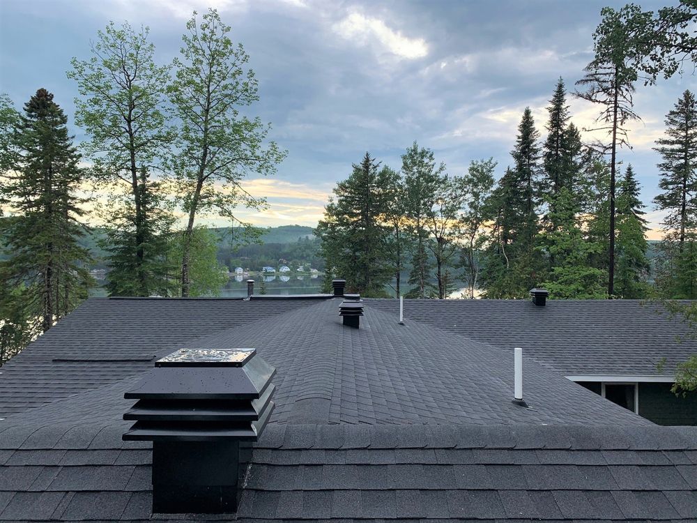 Vents & Attic Ventilation Roof Exhaust Vent by Ventilation Maximum - Ecohome