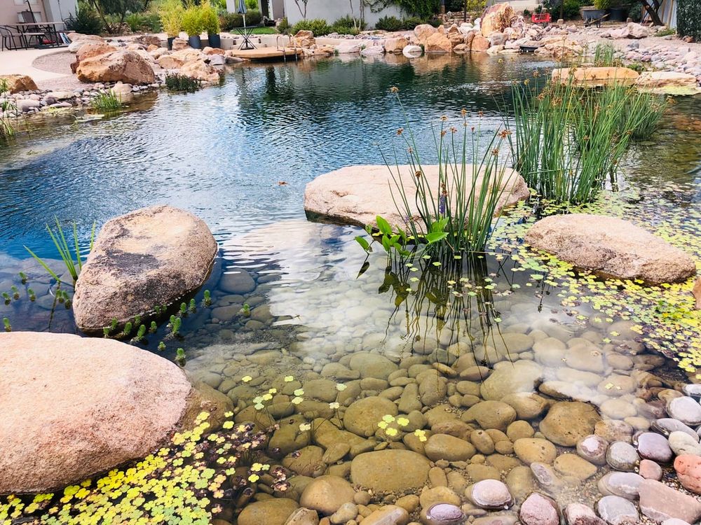 Delightful in the Desert - Ecohome