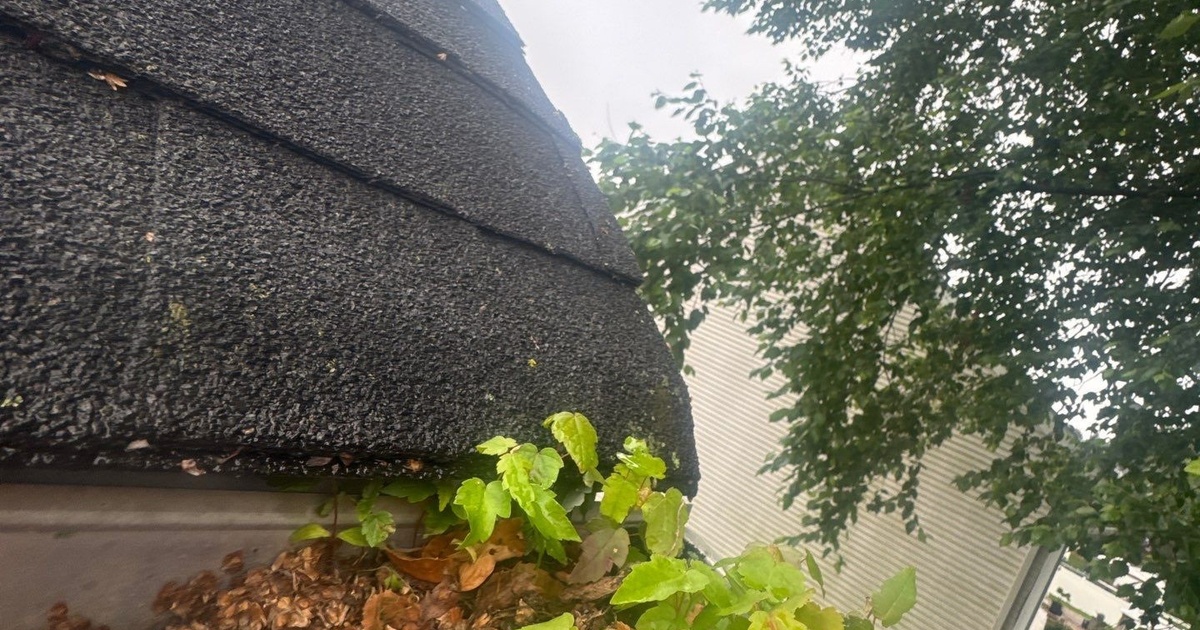 Our Projects - Ecohome