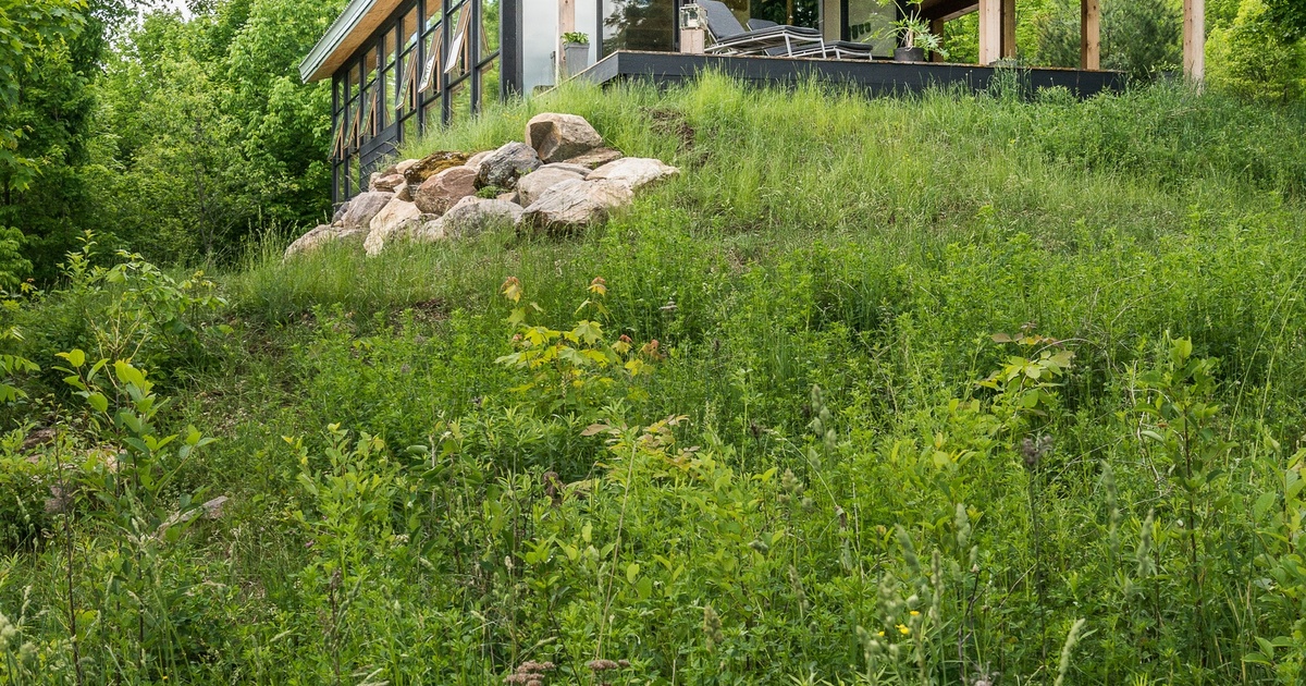 The House on the Hill "Strata Series" - Ecohome