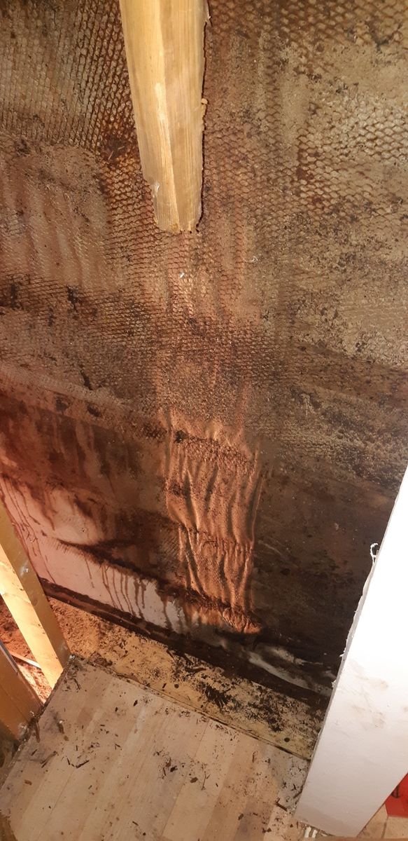 PROJET 19-1017 - Ecohome