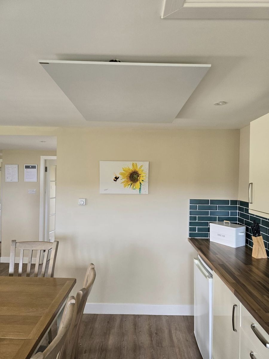 Infrared Heating Systems and Panels - Ecohome