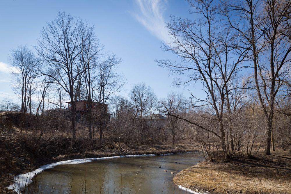 View from River - Ecohome