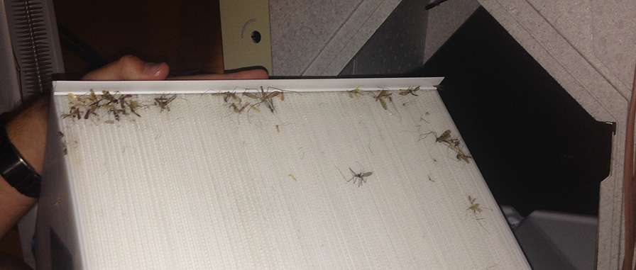 HRV maintenance: How to keep your HRV Clean & Efficient - Ecohome