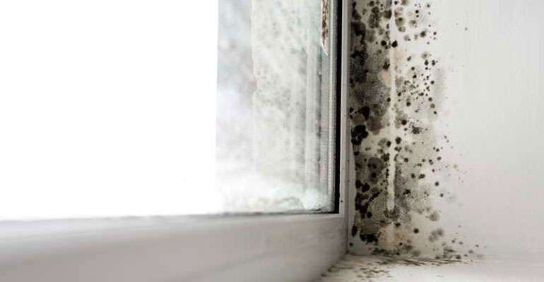 Is Condensation on Windows Bad, Causes & How to Stop It - Ecohome