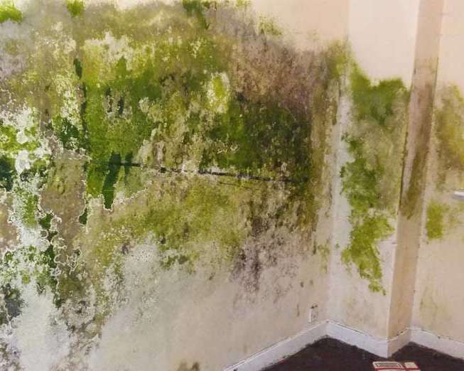 What is Interstitial Condensation? (And how to stop it!) - Ecohome