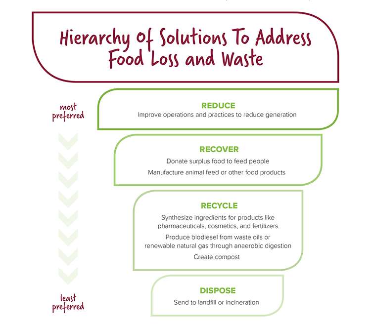 How to Organize a Fridge to Prevent Food Waste - Ecohome