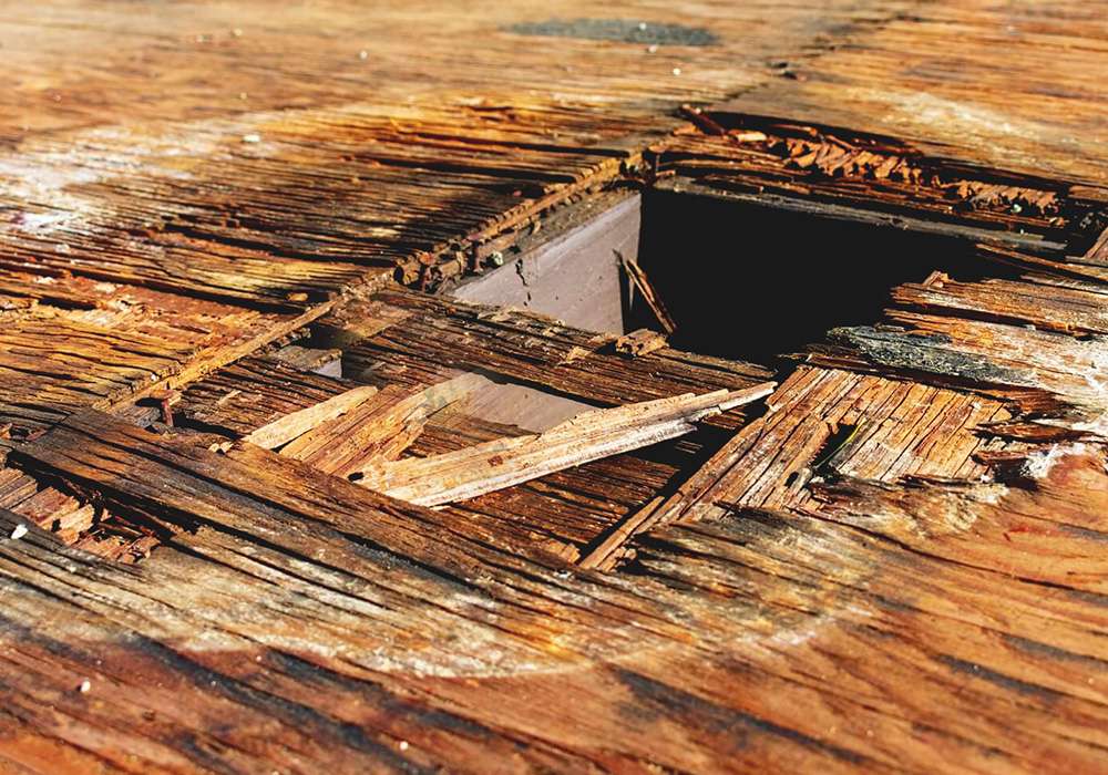 Rotten Luck - why dry rot in homes is best prevented - Ecohome