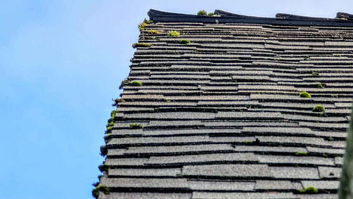 Which Asphalt Roofing Shingles are the Best & Last Longest? - Ecohome
