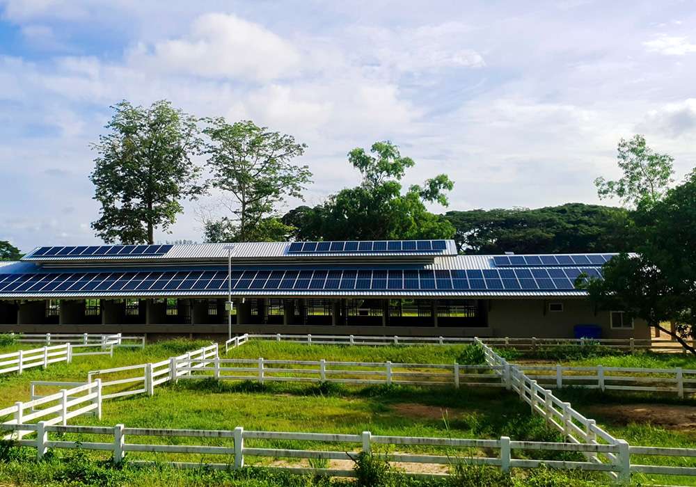 Quebec Solar Panel Grants 2025: The Ultimate Guide for the New Hydro ...