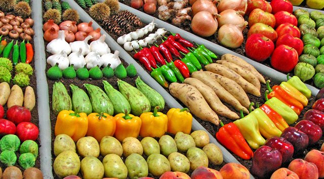 Choosing foods with the lowest climate impact | Green Home Guide | Ecohome